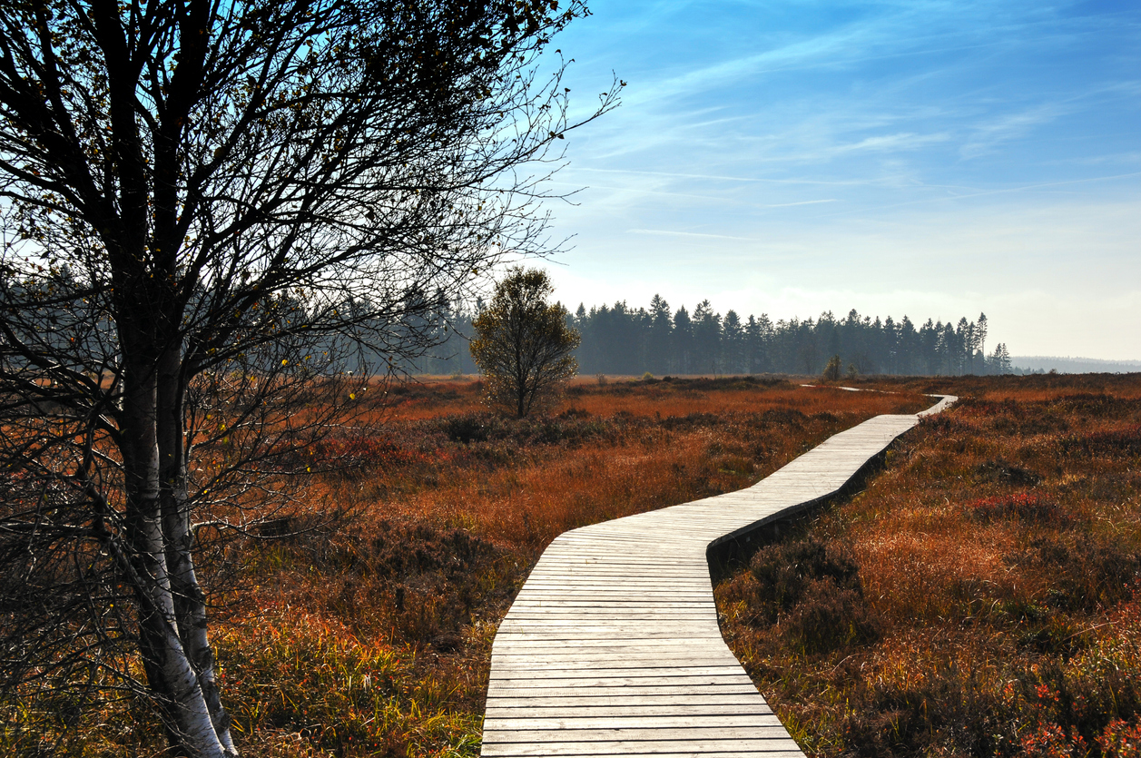 Buiten in België: de 3 mooiste natuurparken | Explore the World